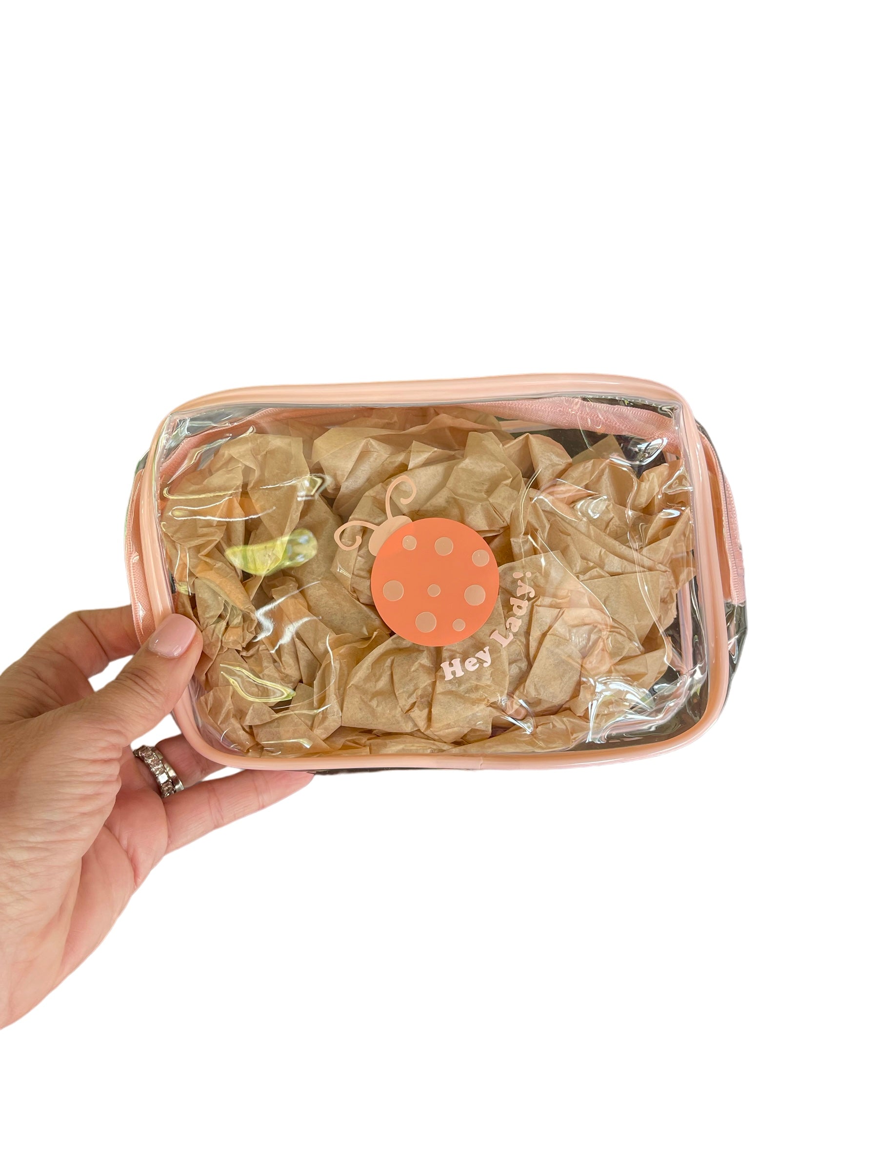 Ladybug clear cosmetic bag